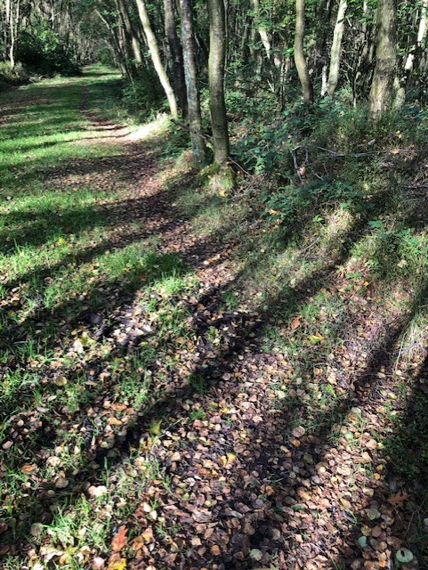 Best walks around Matlock - Sheriff Lodge Bed and Breakfast Matlock